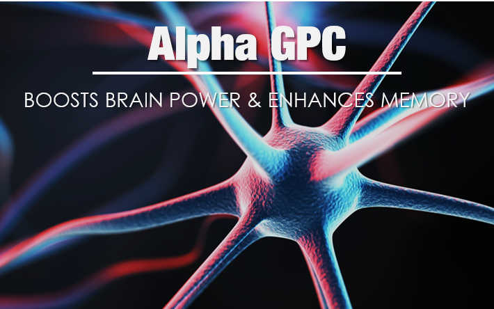 Memory and Learning with Alpha Glyceryl Phosphorylcholine (Alpha GPC ...