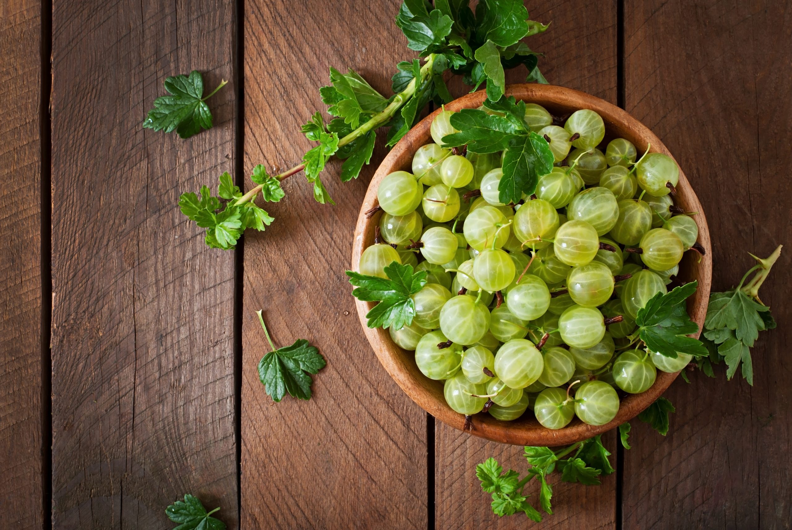 Potent Medicinal and Nutritious Capacities of Amla Fruit – corapure.com